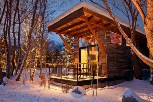 The Wedge 400 Sq. Ft. Cabin by Wheelhaus