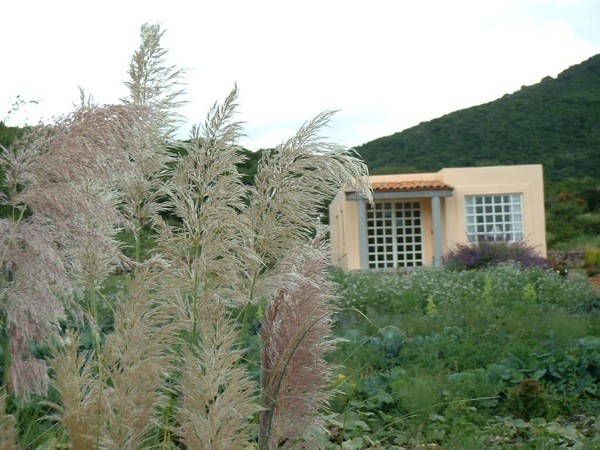 600 Sq. Ft. Cottage on Farm in Mexico