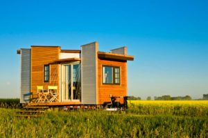 Contemporary Dragonfly Tiny House For Sale
