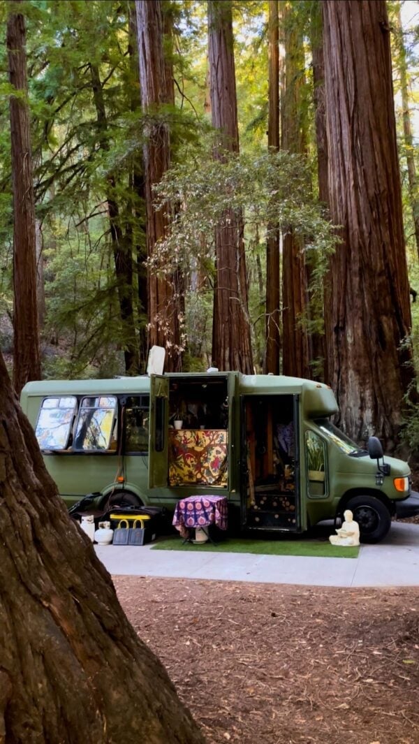 Their Forest-Green Shuttle Bus Conversion