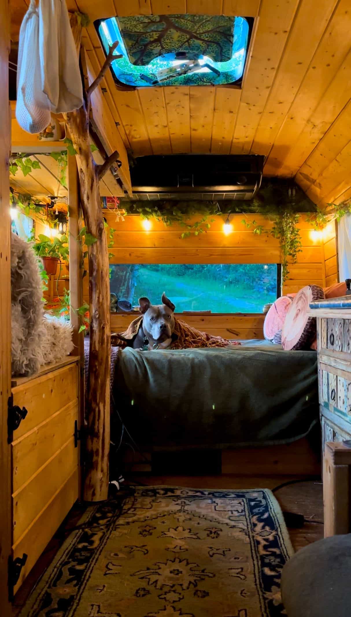 Their Forest-Green Shuttle Bus Conversion