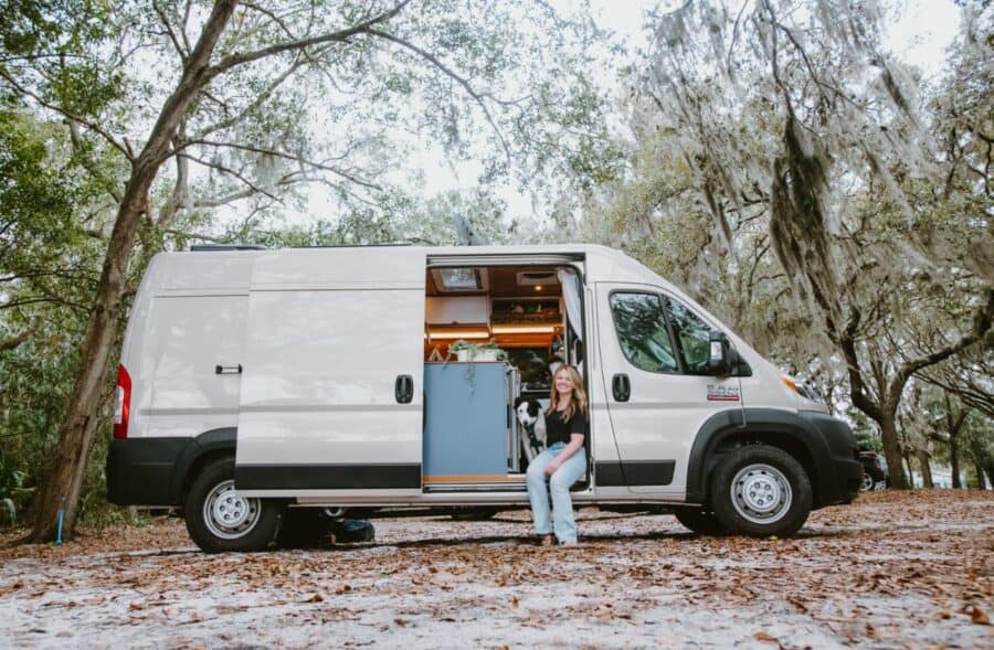 Her ProMaster Van Conversion with a Murphy Bed