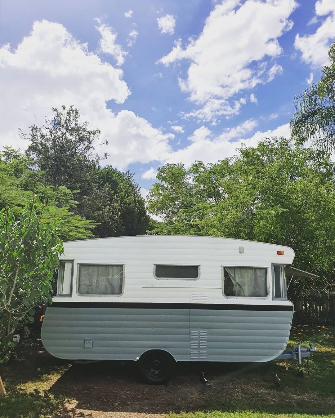 The Daisy Caravan is a Bright Yellow Beauty