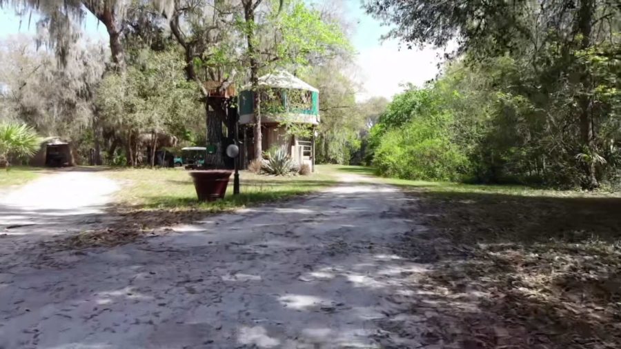 He Built An Epic Senior-Friendly Treehouse With Elevator Access in Florida
