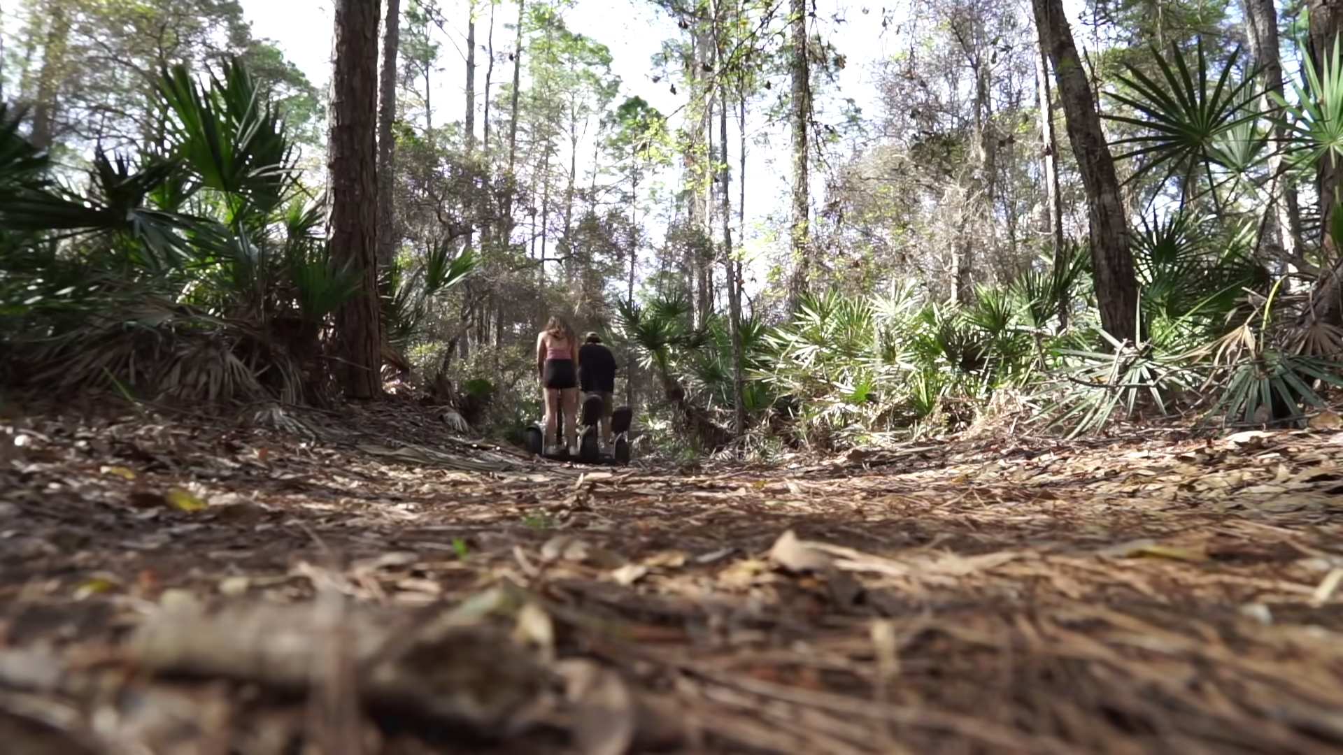 He Built An Epic Senior-Friendly Treehouse With Elevator Access in Florida
