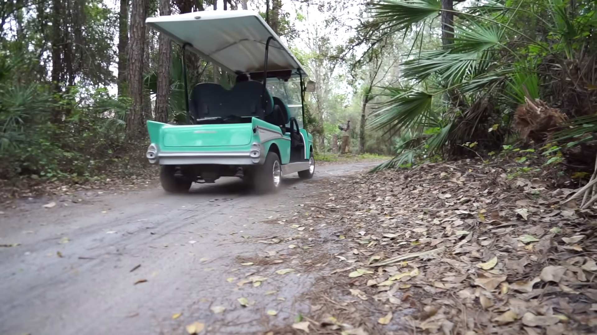 He Built An Epic Senior-Friendly Treehouse With Elevator Access in Florida