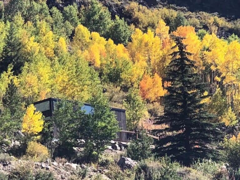 Tiny House in Red Cliff, Colorado