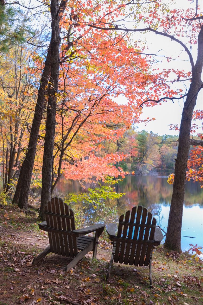 Canoe Bay Escape Tiny House Village in Wisconsin
