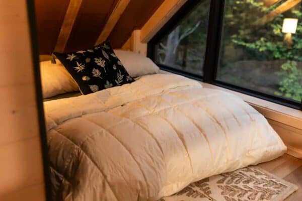 Fox Head Shaped Cabin in the Woods!