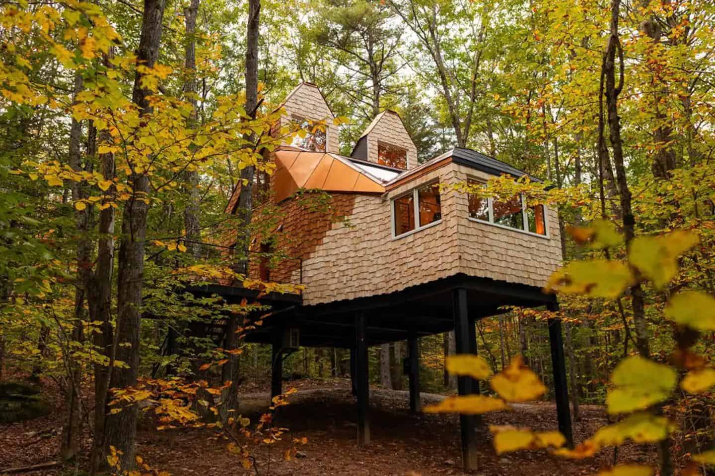 Fox Head Shaped Cabin in the Woods!
