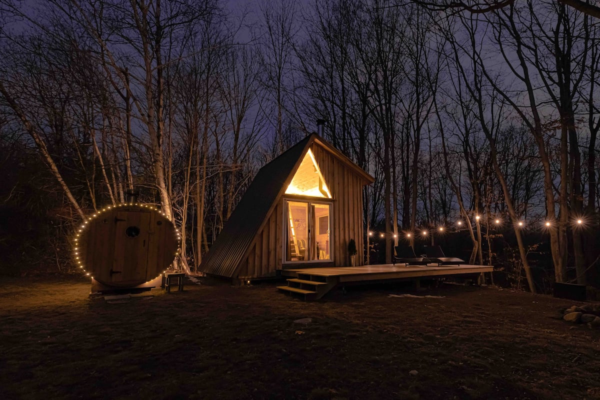 Solar-powered ‘G-frame’ Cabin with Sauna