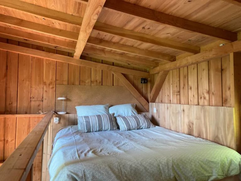 Gorgeous French Cabin in the Wild