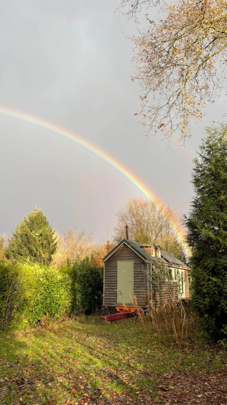 Her Beautiful DIY Tiny Home in the Netherlands