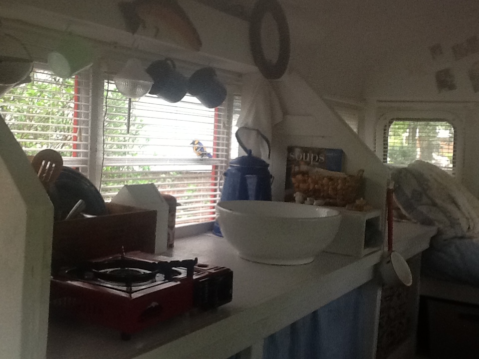 Marsha’s School Bus Tiny Cottage Lifestyle Update
