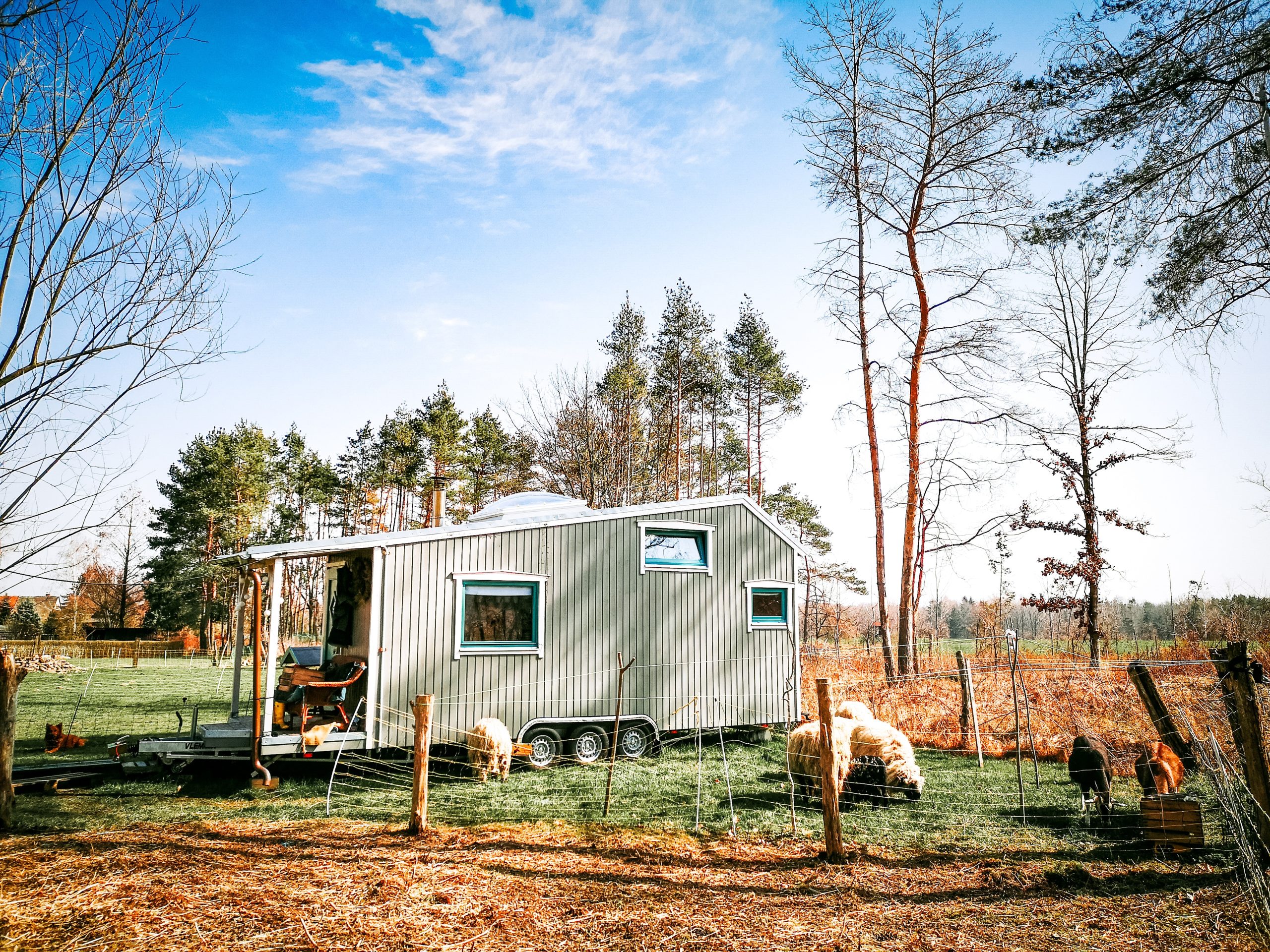 THOW in the Meadow: Tiny Living in Germany