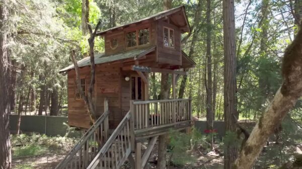 30 Years Building 13 Incredible Treehouses