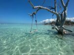 Key West Outpost Houseboat: Floating Florida Cottage