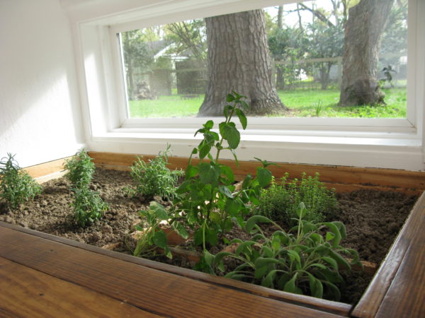 Blake's Micro Backyard Studio with Floor Planter