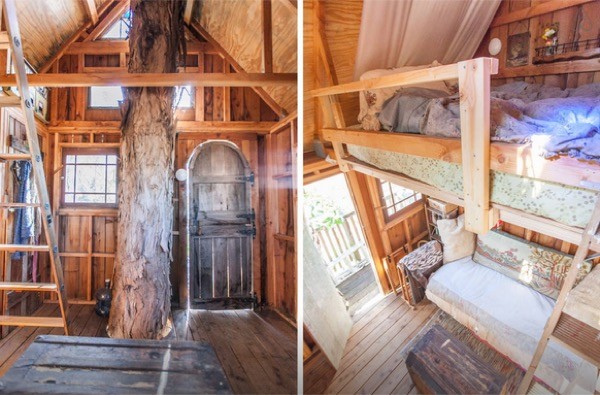 Multi-Level Treehouse in 110 ft. Eucalyptus Tree