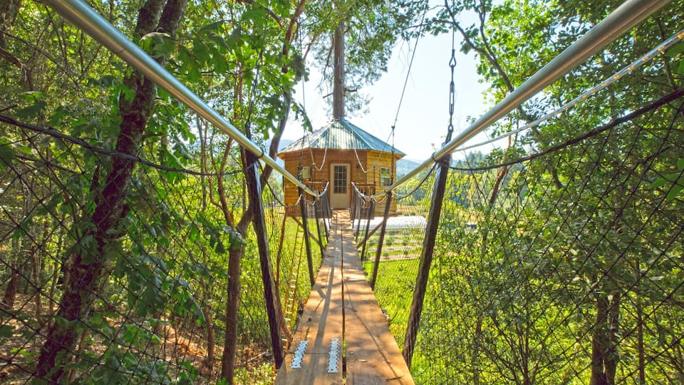 Octagonal Treehouse 11
