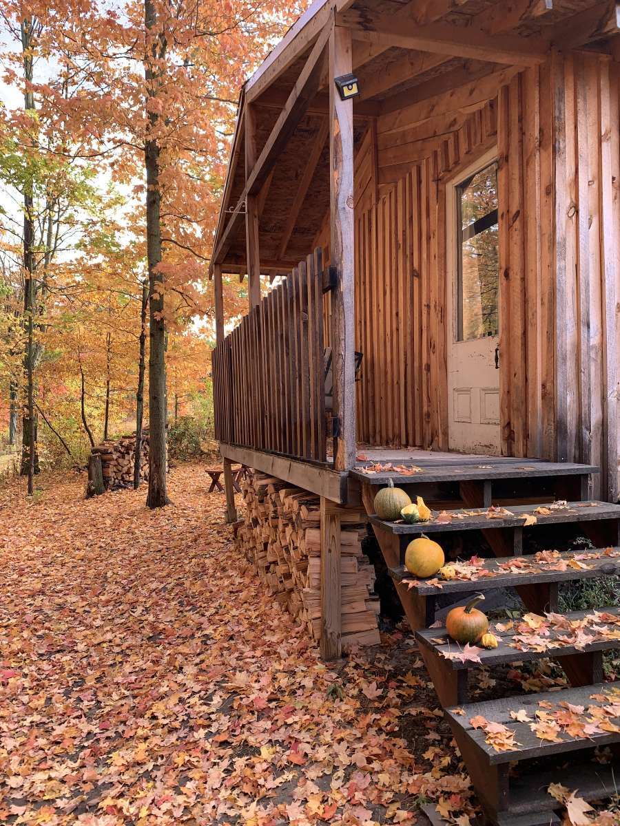 Tiny, Off-Grid Homestead Cabin on 103 Acre Working Farm