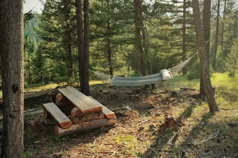 Tiny Shanty Cabin on 100+ Forested Acres in Montana