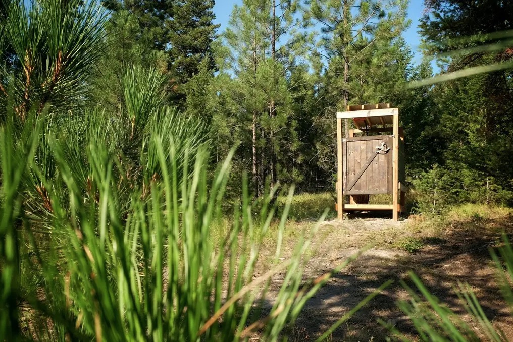 Tiny Shanty Cabin on 100+ Forested Acres in Montana