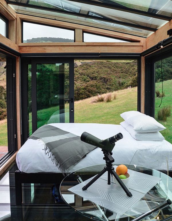 Star Gazer Tiny House with Glass Walls in New Zealand