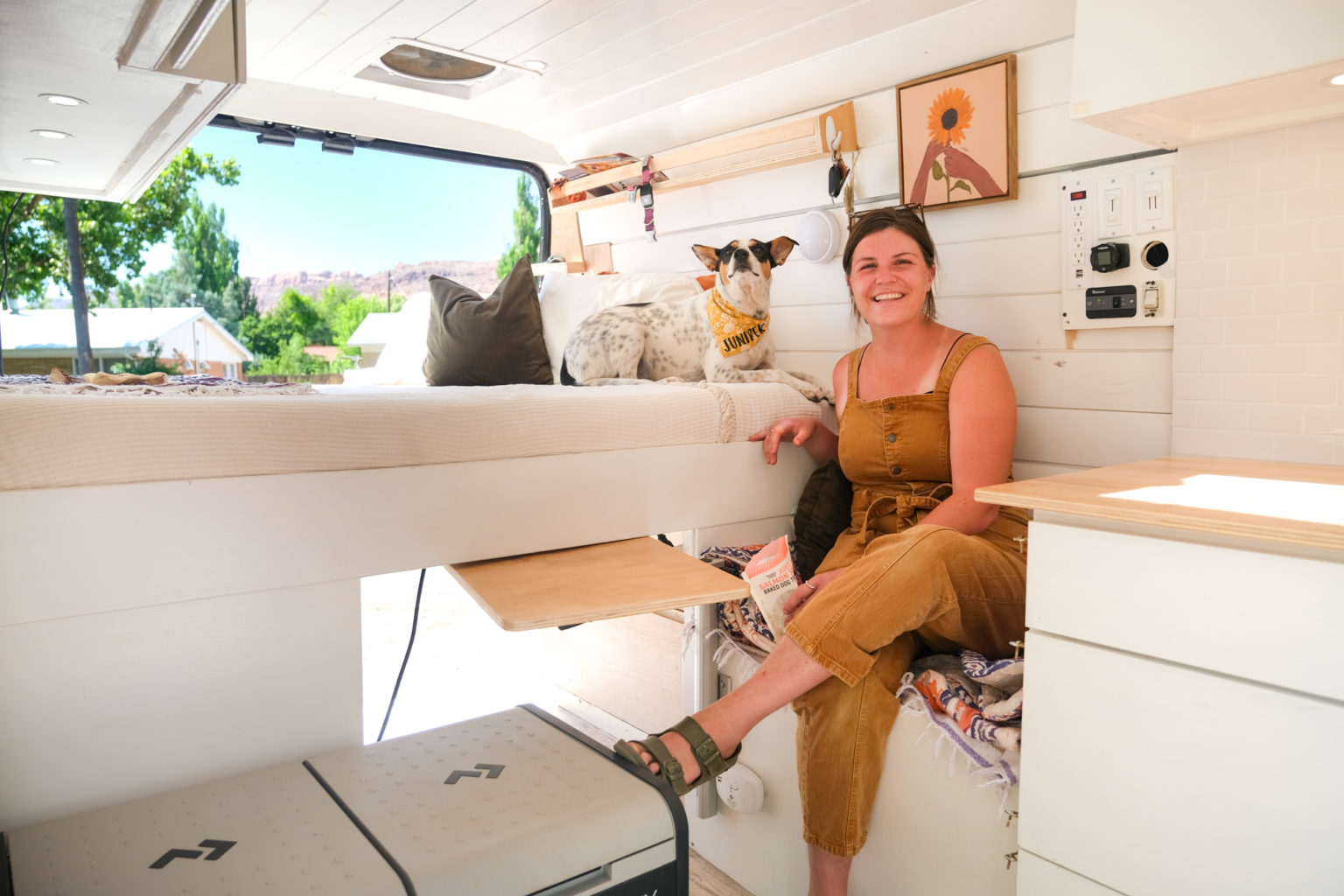 Saving Dogs in Her Van Conversion