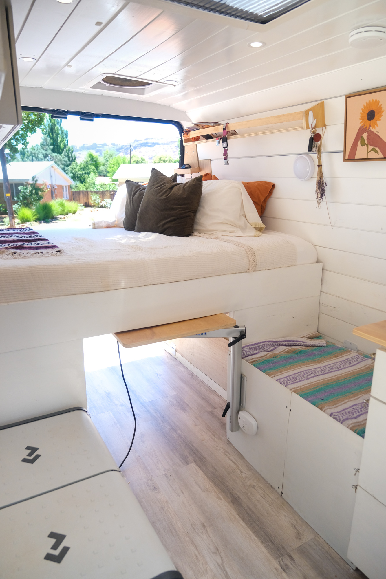 Saving Dogs in Her Van Conversion