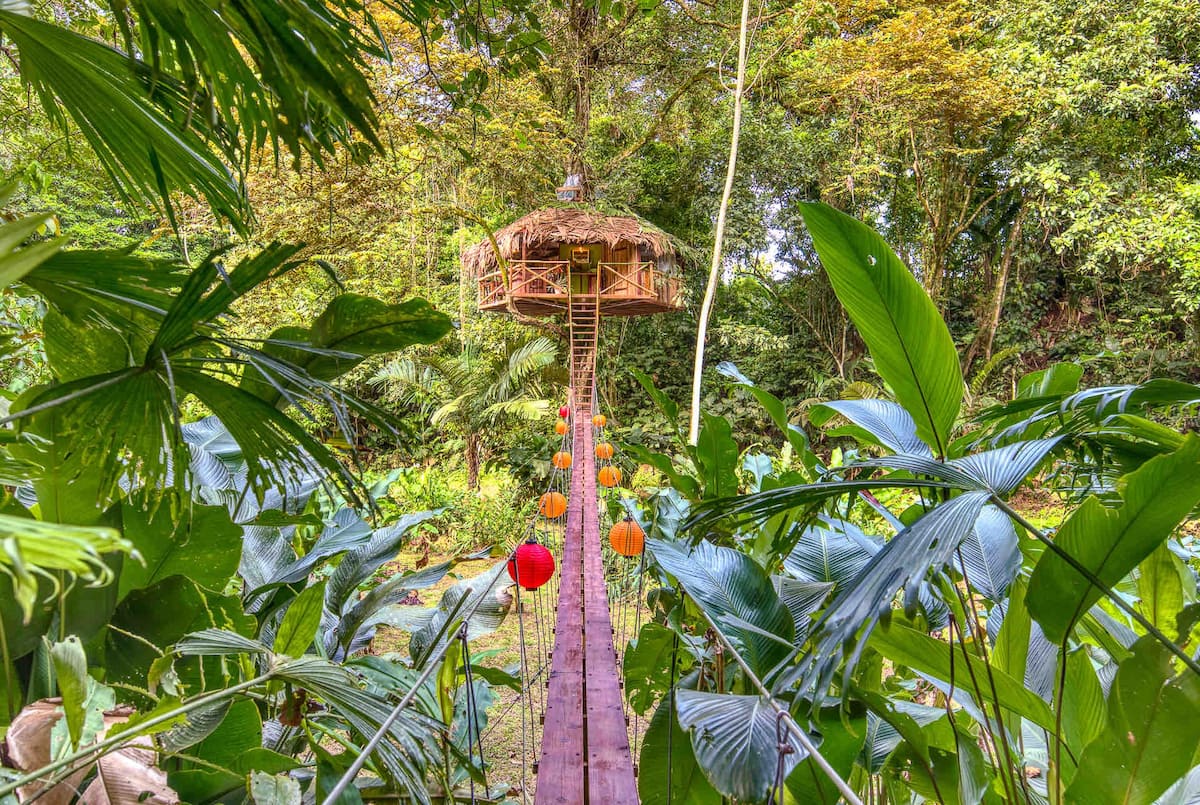 Secret Bamboo Jungle Treehouse in Panama