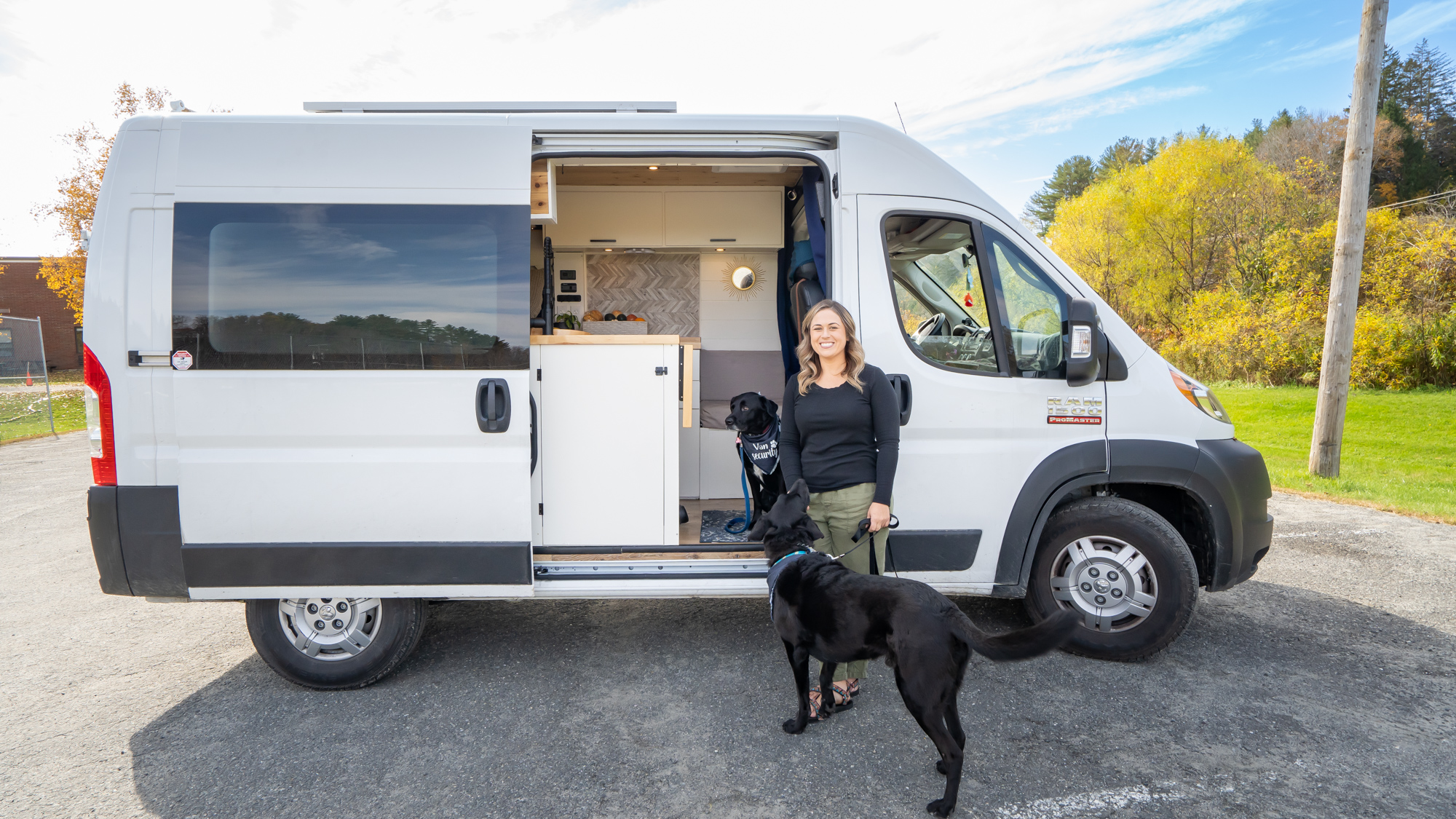 From Teacher to DIY Van Life with Her Two Dogs