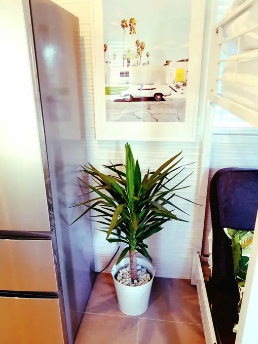 The Bermuda Tiny House at Orlando Lakefront