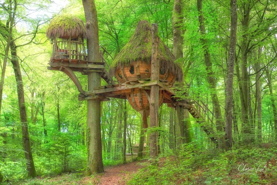 Tiny Four-Level Treehouse in France