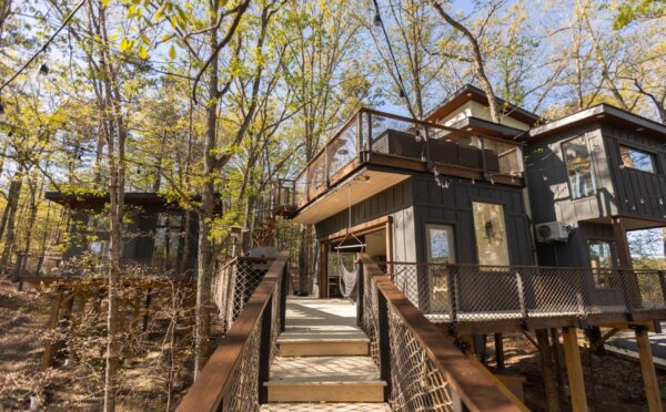 Father and Son Build Treehouses in the Smokey Mountains