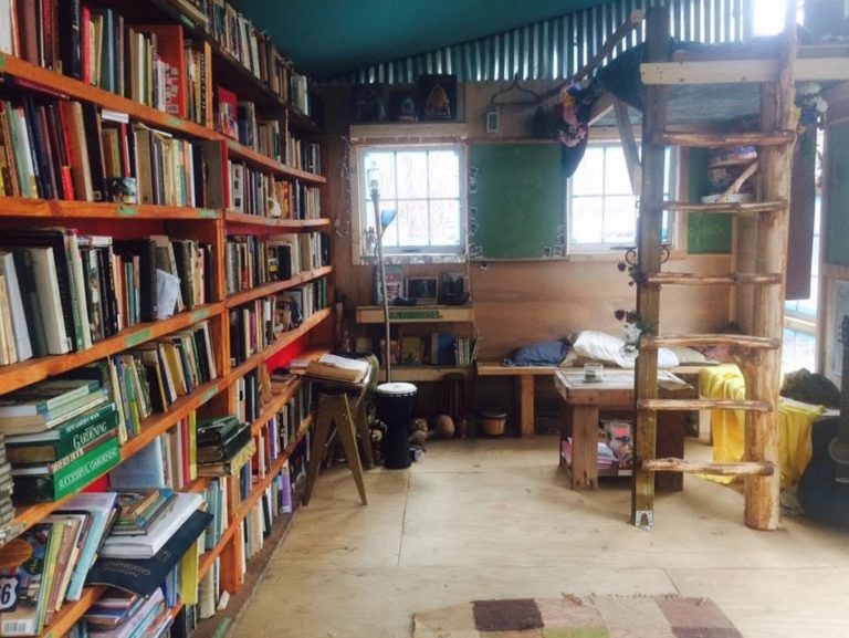 They Built A Tiny Library Cabin For $2,000 In Materials…