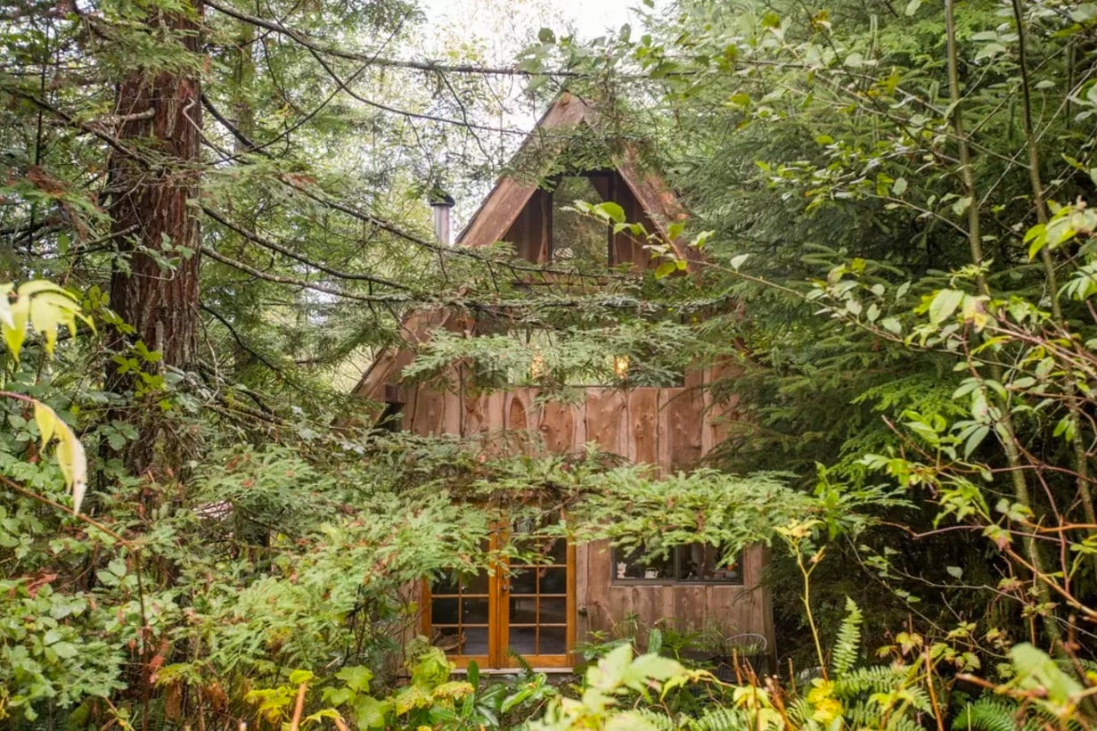 Tiny Zen Cabin in the Forest