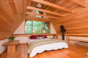 Tiny Zen Cabin in the Forest
