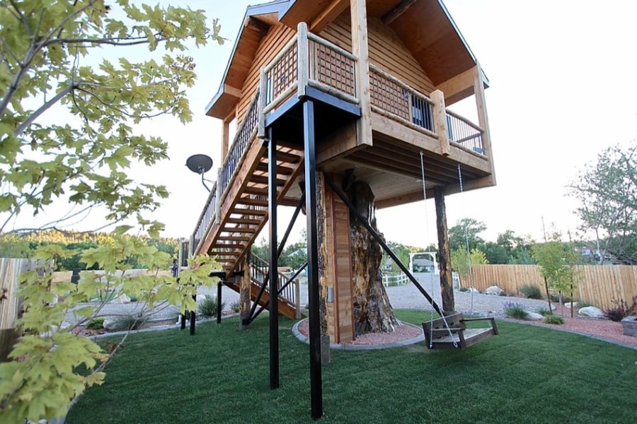 Tree House Built On 100-Year-Old Preserved Trunk