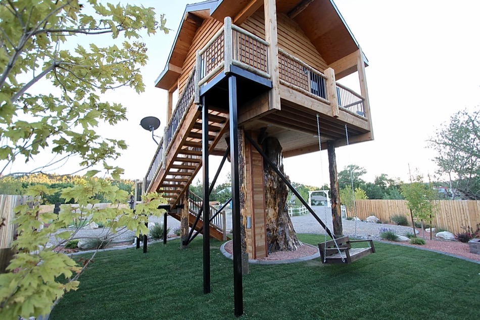 Tree House Built On 100-Year-Old Preserved Trunk