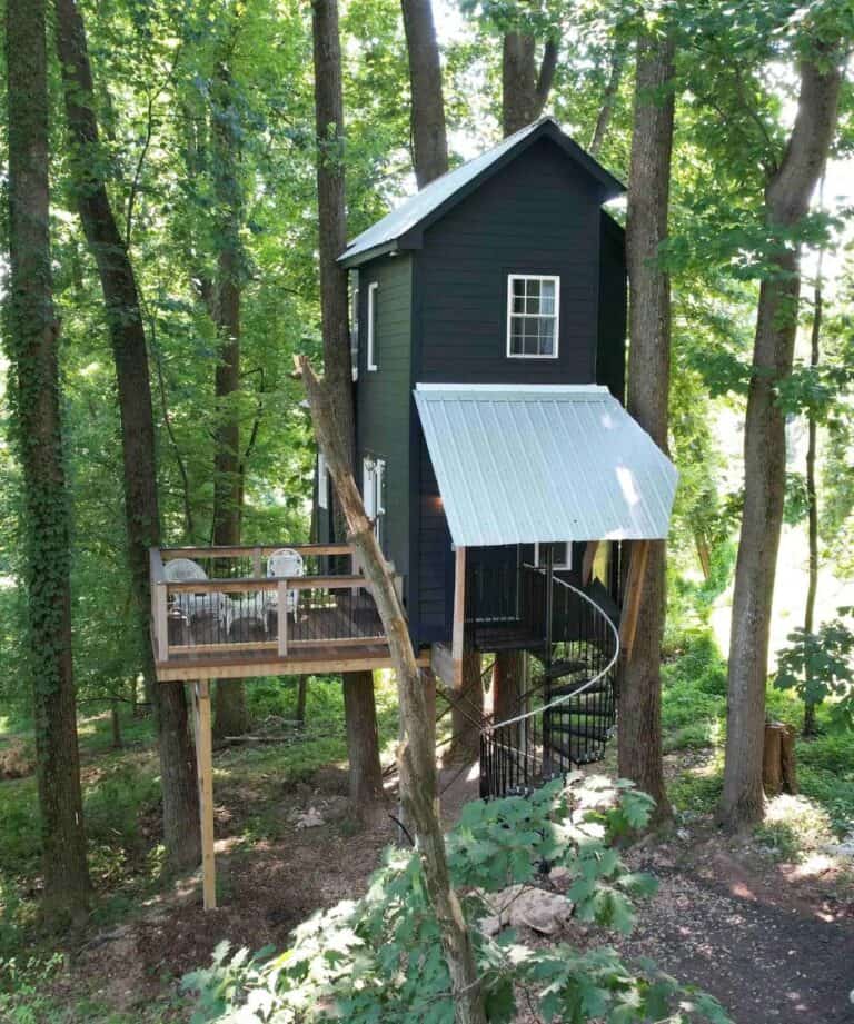 Two-Story Treehouse in the Woods