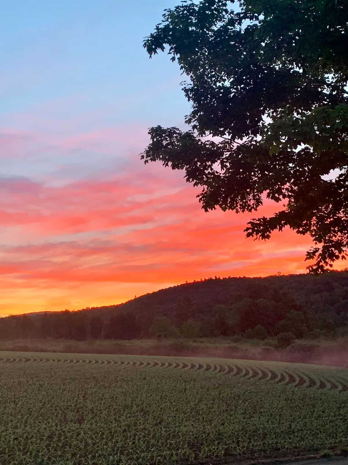 Upper Valley of Vermont Tiny House on 50 Acres