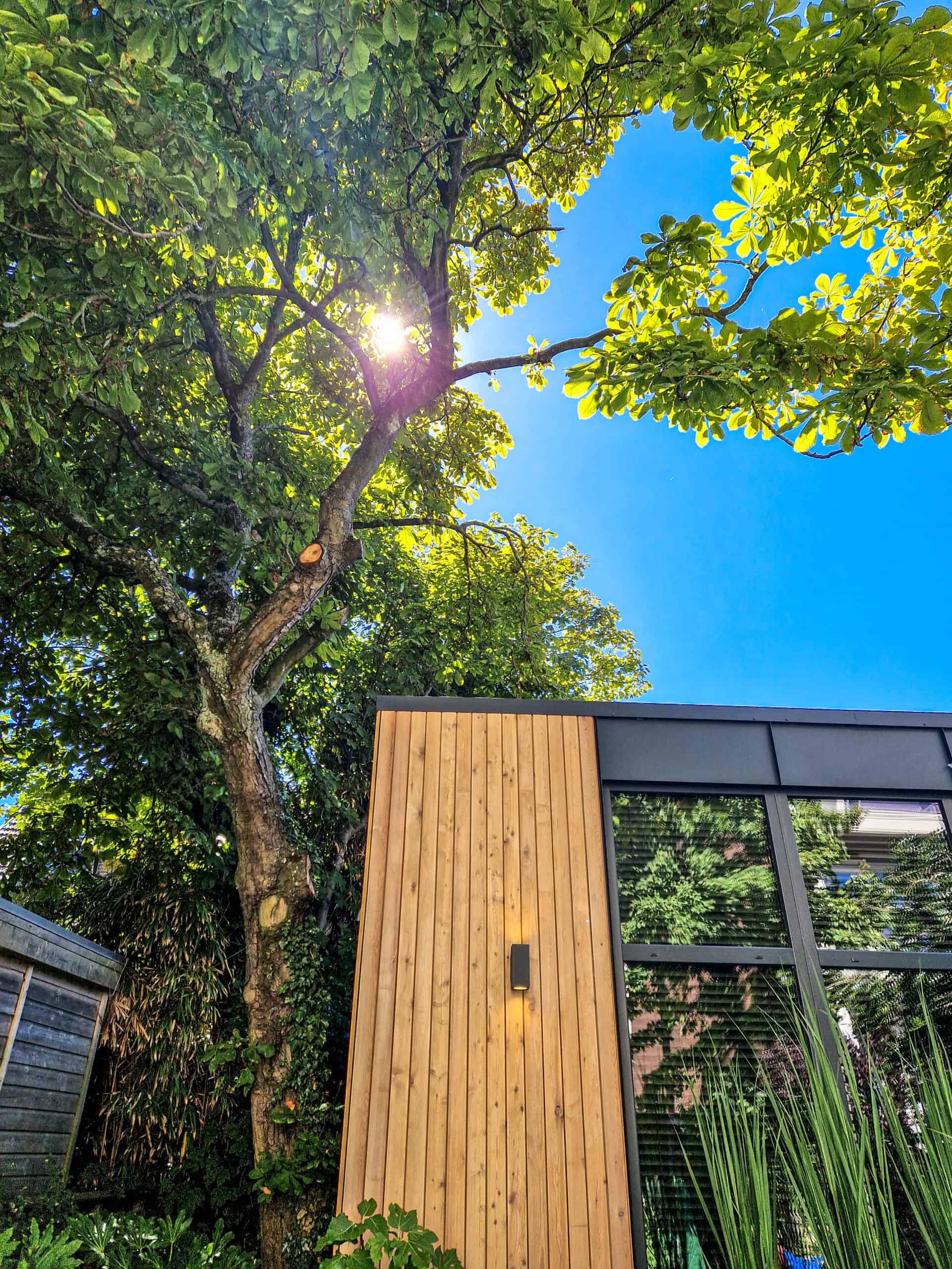 Vista Tiny House: 299 Sq Ft Studio-Style Design with Wall of Windows ...