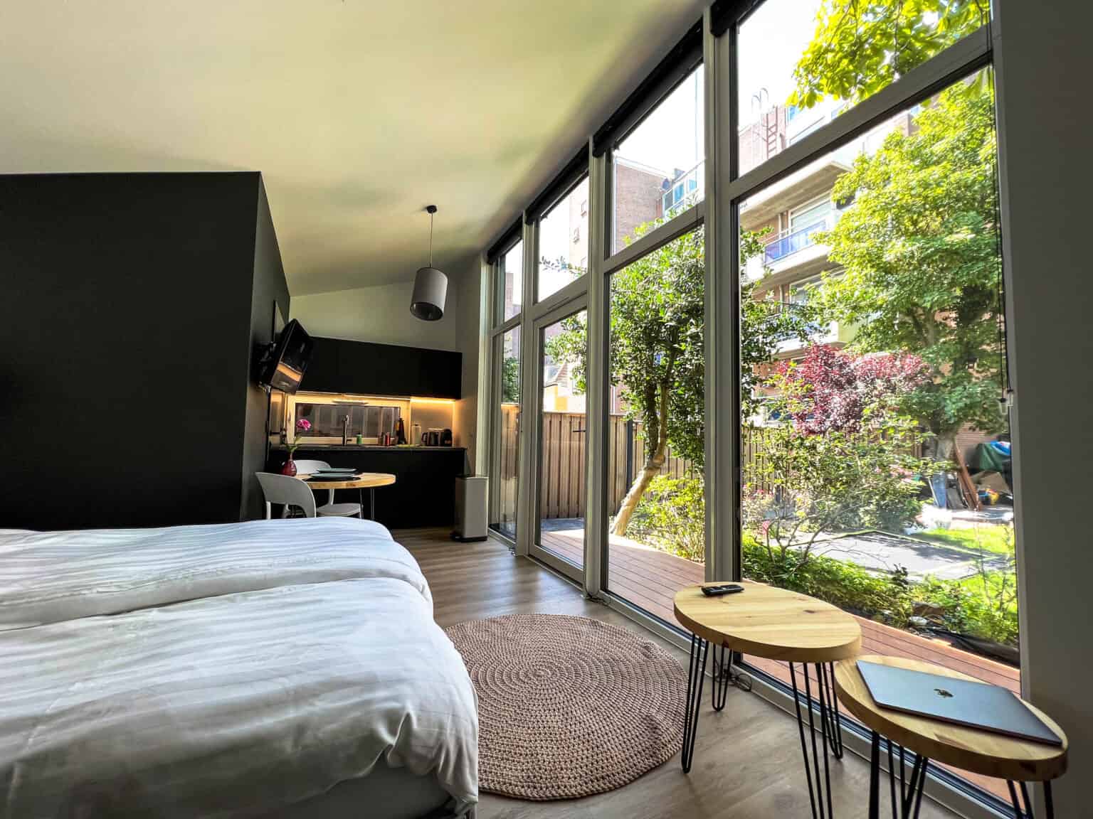 Vista Tiny House: 299 Sq Ft Studio-Style Design with Wall of Windows ...