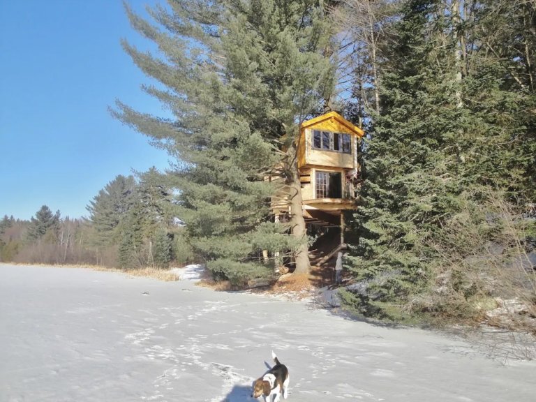 Walker Pond Tiny Tree Cabin in Vermont