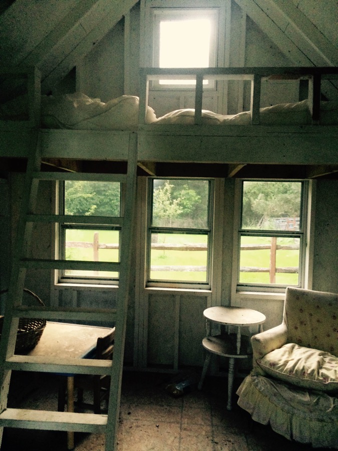 Student Transforms Childhood Playhouse to Tiny Home