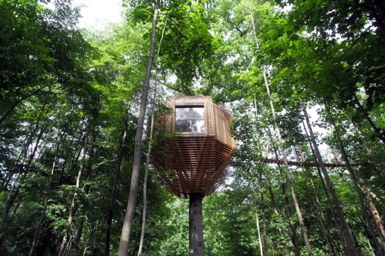 ORIGIN: Treehouse ‘Built Like A Dress’ Around 100-Year-Old Oak Tree