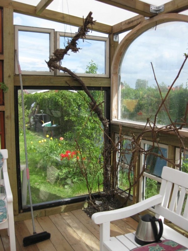 Backyard Tiny Hobby House Built from Recycled Windows