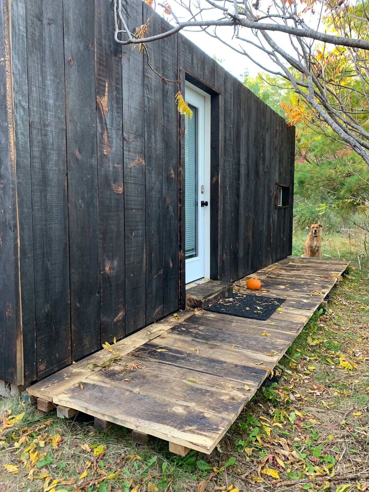Basic Tiny Cabin With Round Window; Toronto
