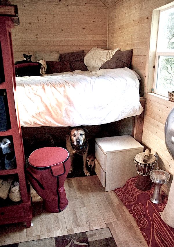 Q&A: Tiny Houses and Pets; Big dogs in a Tiny Home?